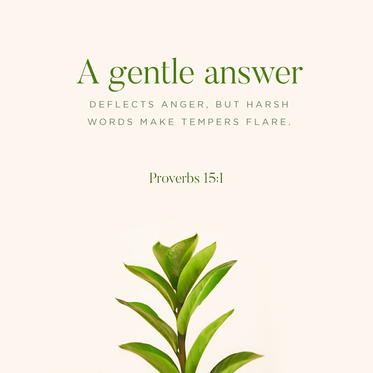 A gentle answer… – The Living Message of Christ