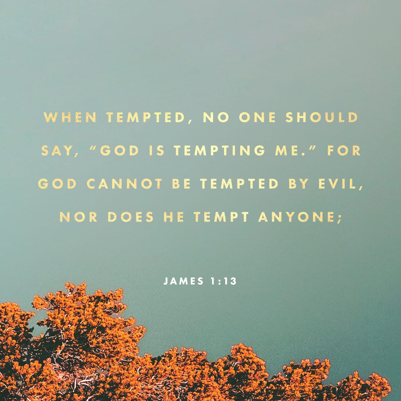When you are tempted… – The Living Message of Christ