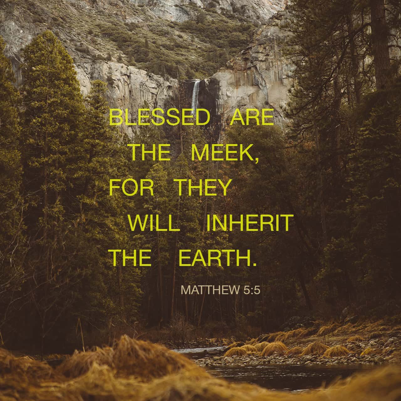 Blessed are the meek… – The Living Message of Christ