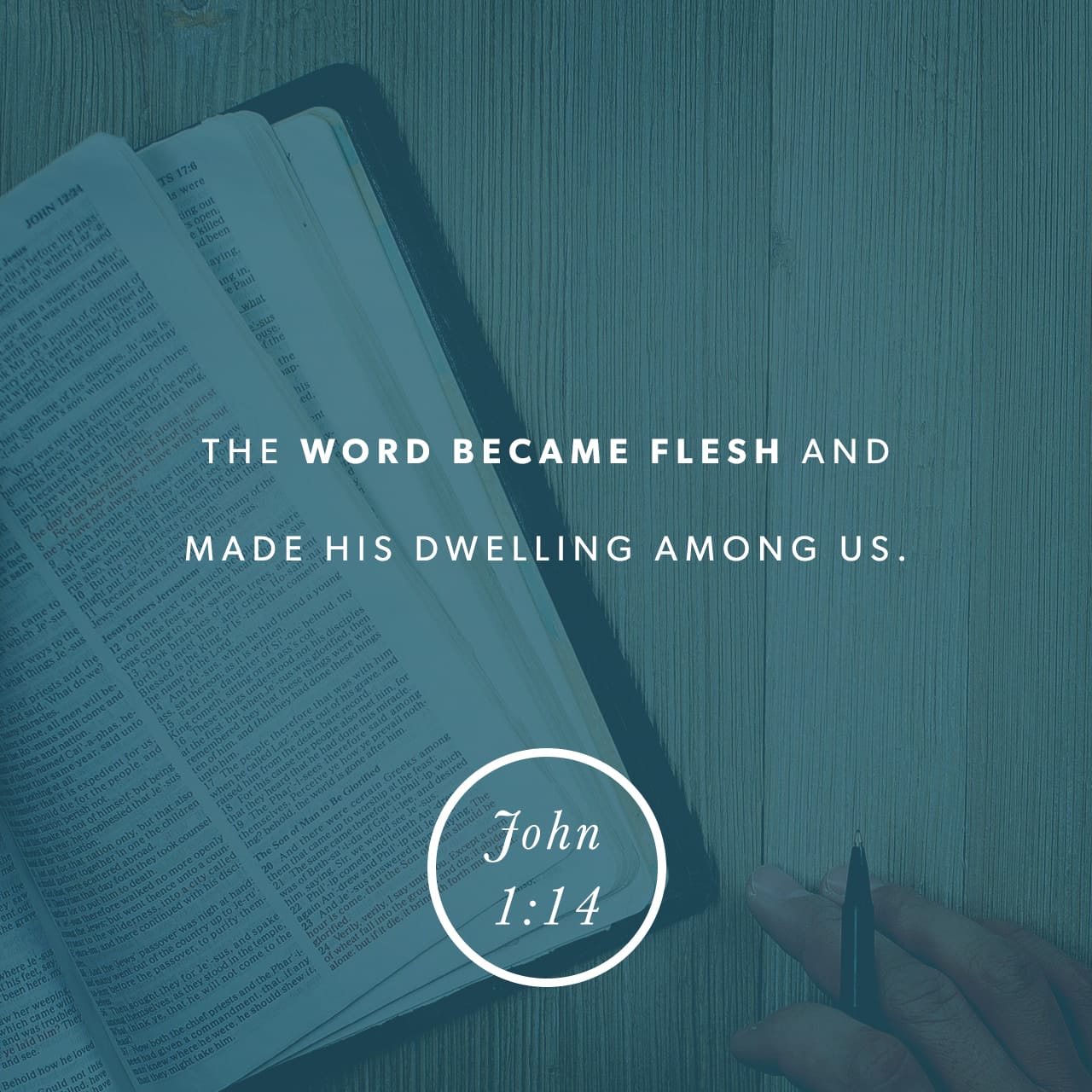 Jesus Christ came to save us 🙏 – The Living Message of Christ