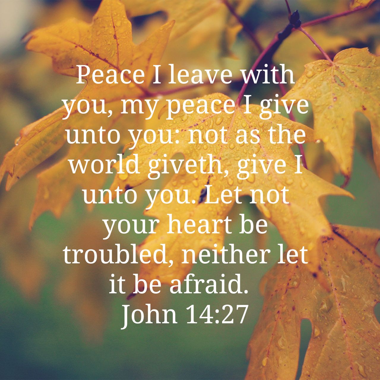 Enjoy the peace of Christ – The Living Message of Christ