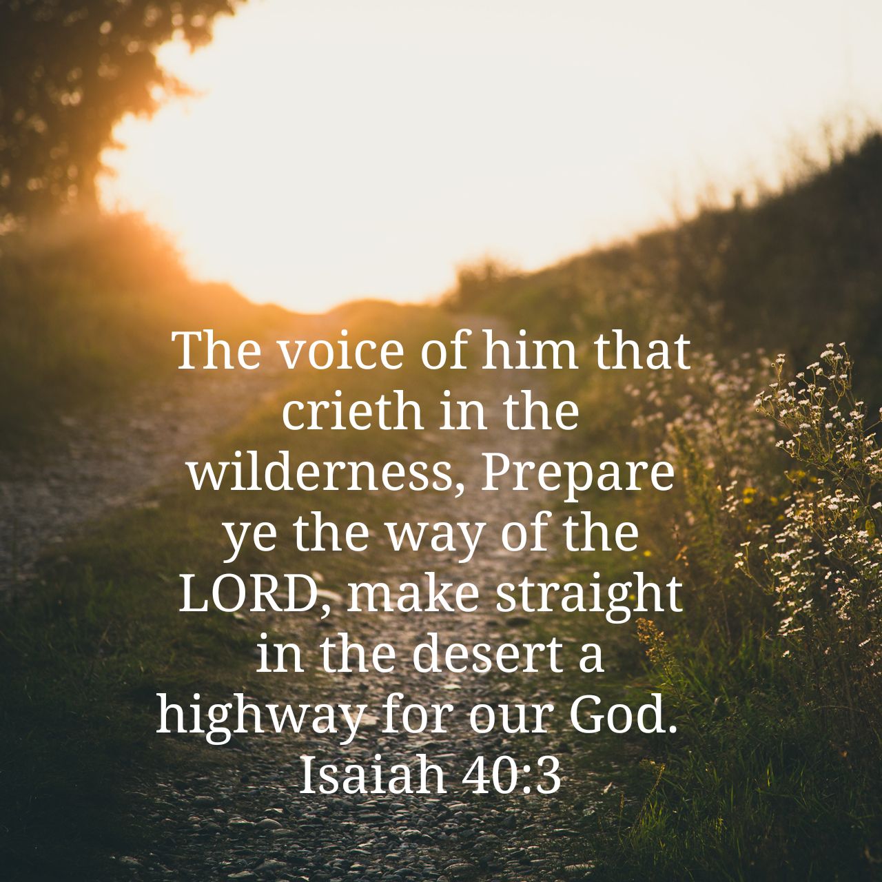 Prepare the way for the Lord – The Living Message of Christ