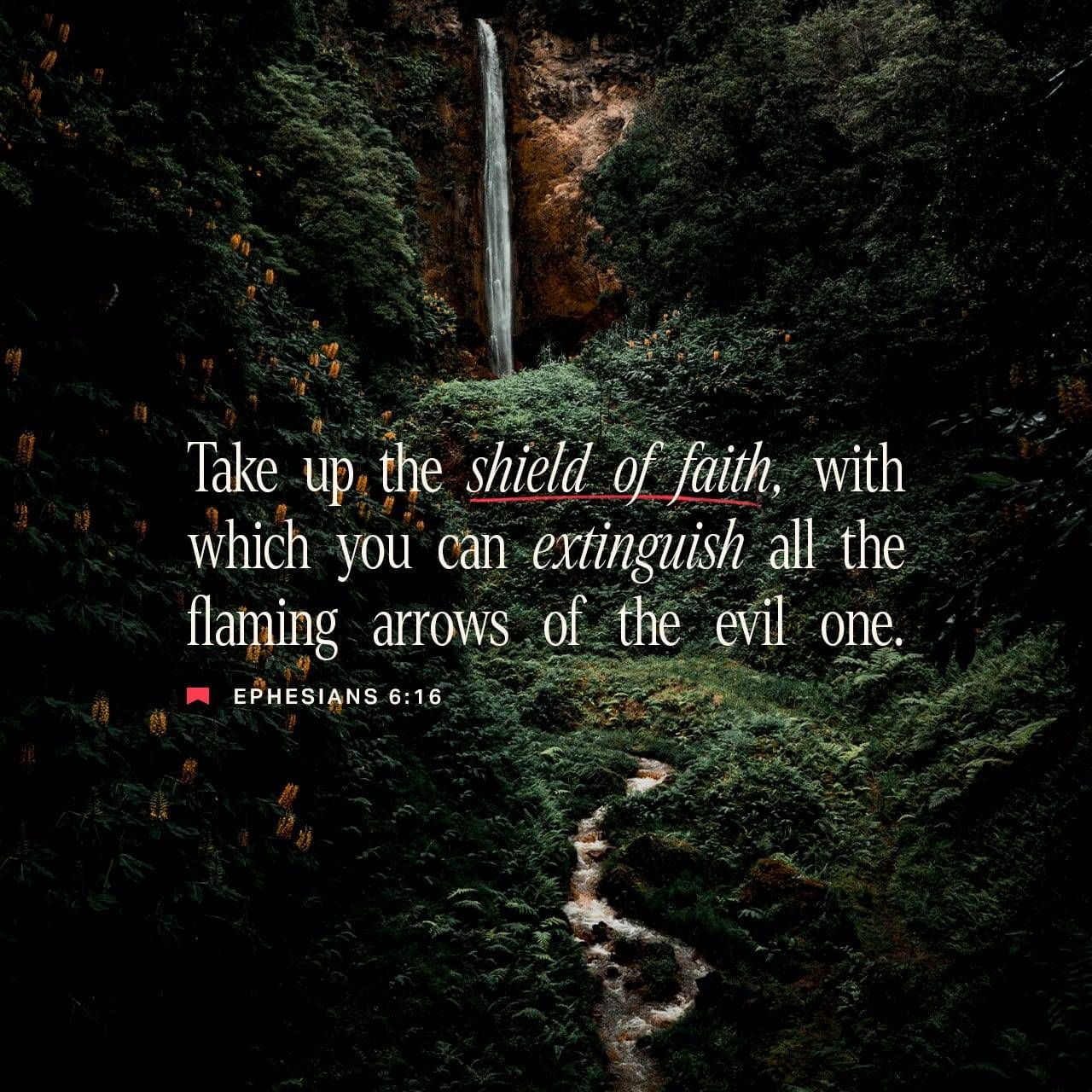 Take up the Shield… – The Living Message of Christ