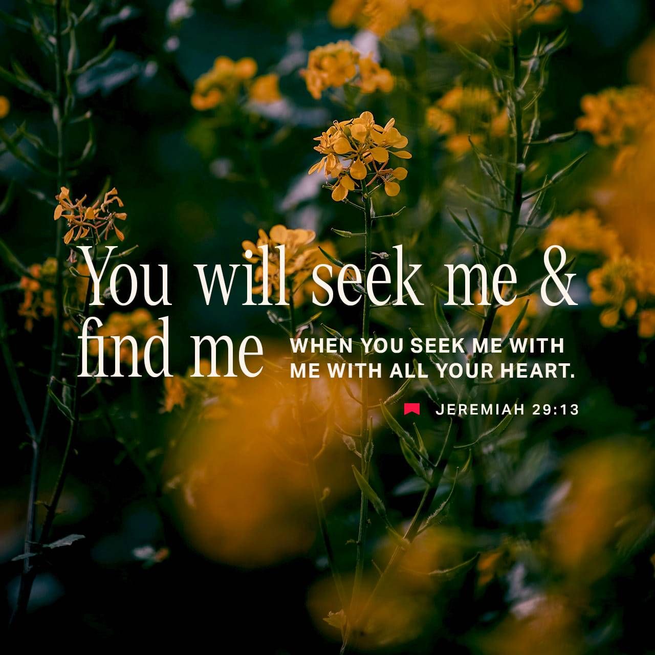 Seek and you will find Him – The Living Message of Christ