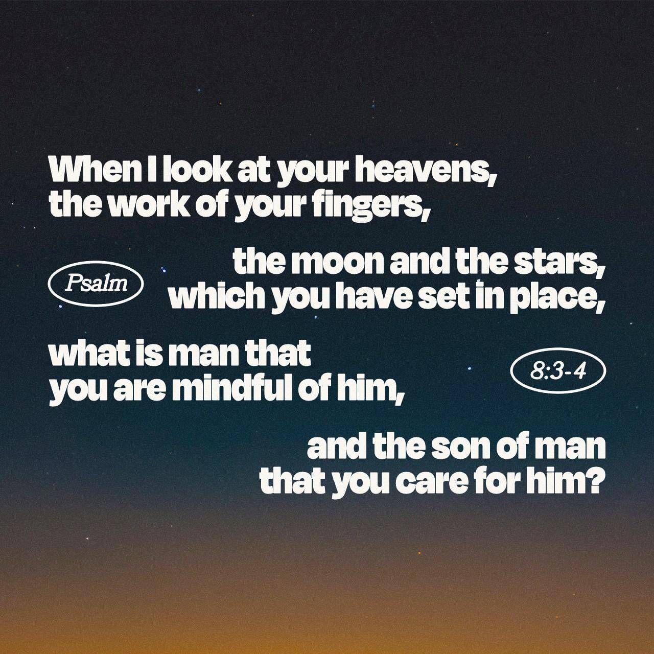 What is man compared to creation? – The Living Message of Christ
